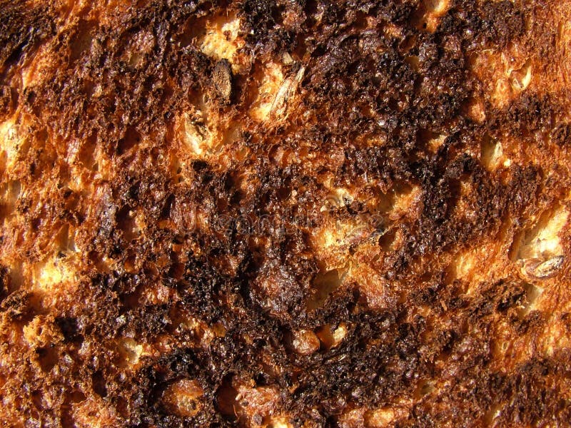Burnt Toast stock image. Image of carbon, mistake, toast - 955043