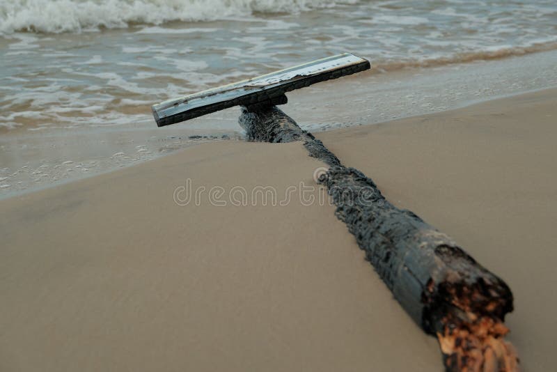 Burnt Traffic Sign and Withered Trees Stock Image - Image of ecology ...