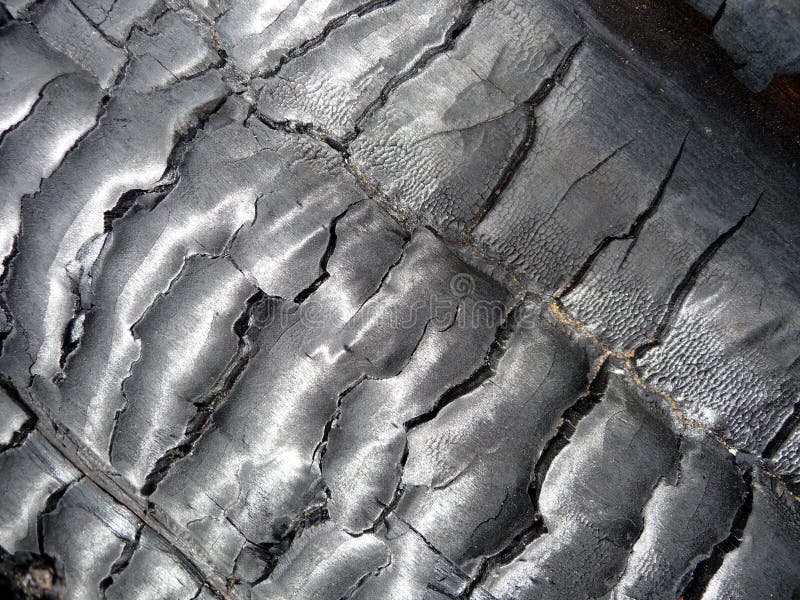 Burnt Tree Bark 5 Picture. Image: 5639574