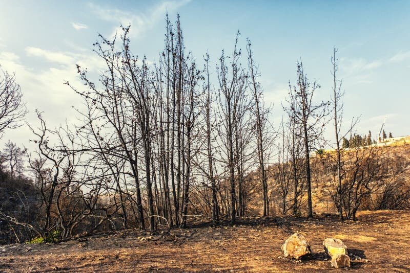 Jerusalem, Israel - June 12, 2021: Old Houses in Yemin Moshe District ...