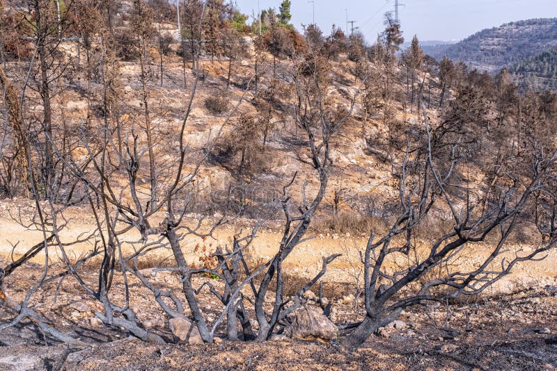 Jerusalem, Israel - June 12, 2021: Old Houses in Yemin Moshe District ...