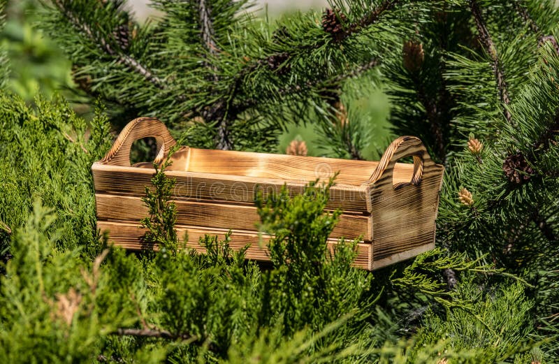 Burnt Wood Box for Tools or Products Stock Photo - Image of nature ...