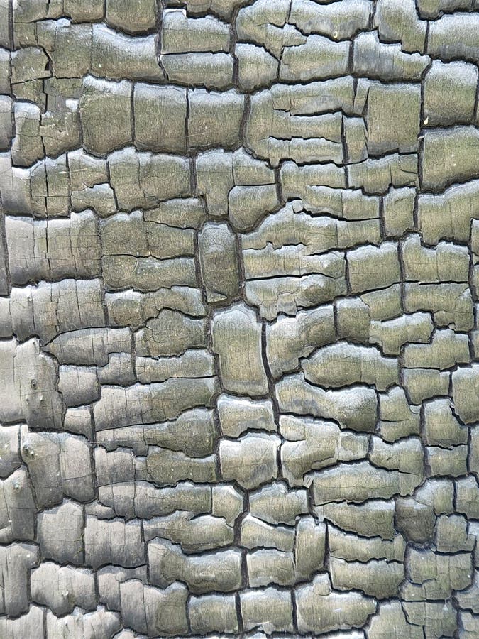 Burnt Wood Surface. Wood after a Fire Stock Photo - Image of dirty ...