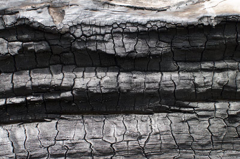 Burnt Wood Texture. Charred Board Stock Image - Image of abstract ...