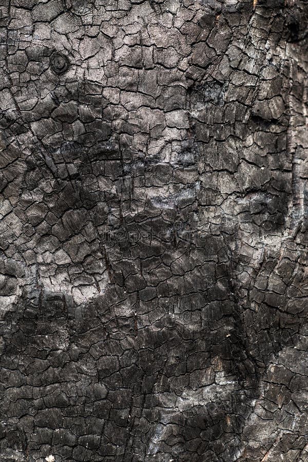 877 Burnt Skin Texture Stock Photos - Free & Royalty-Free Stock Photos ...