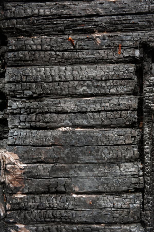 Burnt Wood Texture Provides a Dramatic Contrast and Serves As a Rustic ...