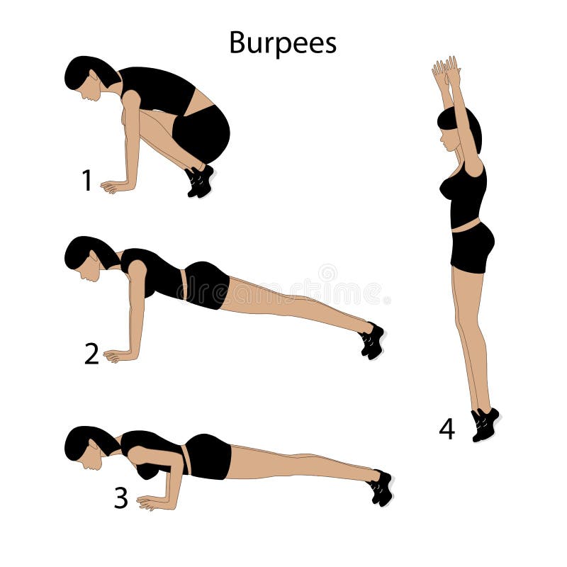 Burpees Exercise Illustration Stock Vector - Illustration of shape ...