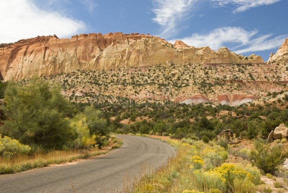 Burr Trail 10 stock photo. Image of national, pine, grand - 3747682