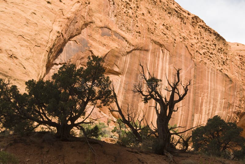 Burr Trail 5 stock photo. Image of southwest, monument - 4138292