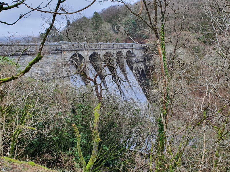 Burrator Dam Overflow Devon Stock Photo - Image of leaf, bridge: 210677274
