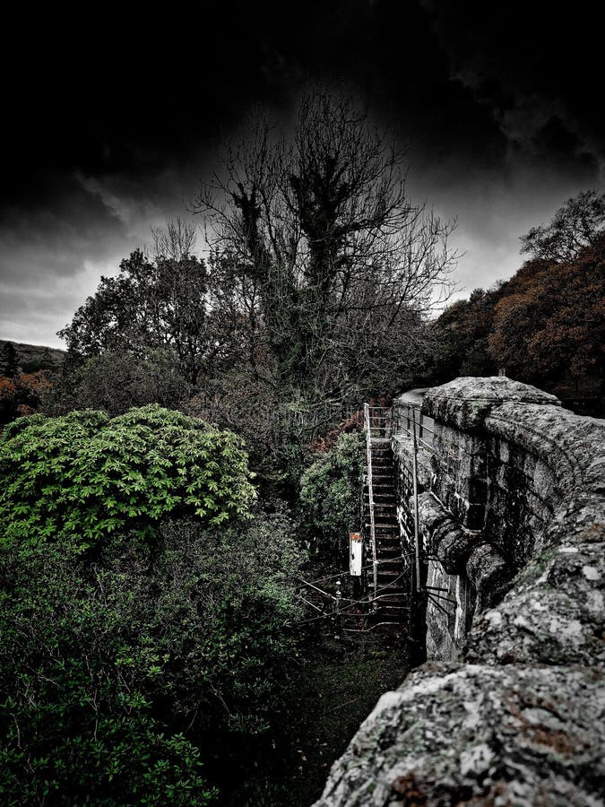Burrator Reservoir Dartmoor National Park Devon Uk Stock Image - Image ...