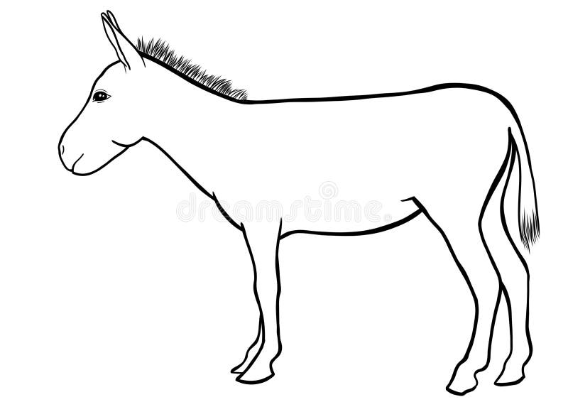 Burro Isolado Em Fundo Branco Ilustração Stock - Ilustração de silhueta ...