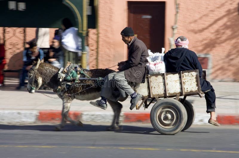 Carro Del Burro Fotos De Stock - Descarga 618 Fotos Libres de Derechos