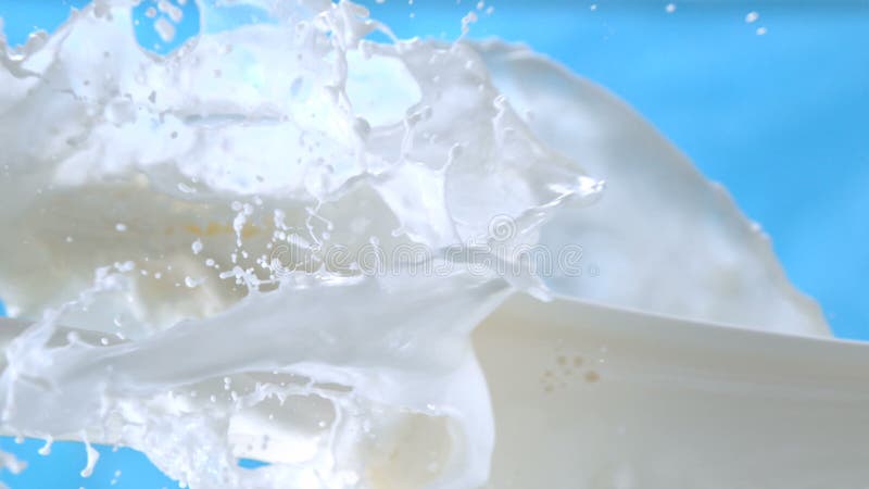 Burst of Milk Splashing Pouring in the Air on Blue Background in Slow ...