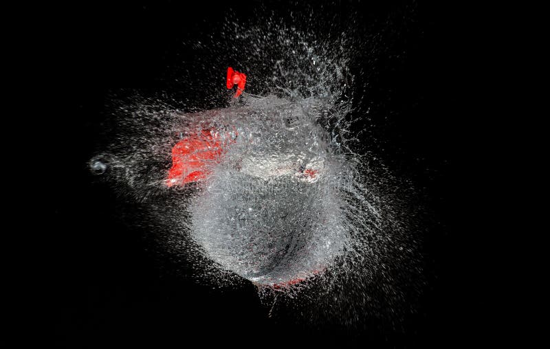 Bursting Balloon stock image. Image of fast, highspeed - 12156647