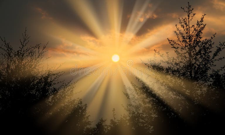 Bursting sun rays stock photo. Image of temperature, skies - 19288602