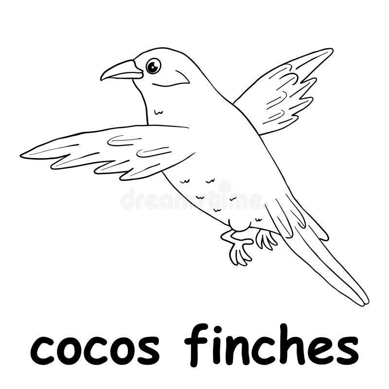 Cocos Finches Stock Illustrations – 1 Cocos Finches Stock Illustrations ...