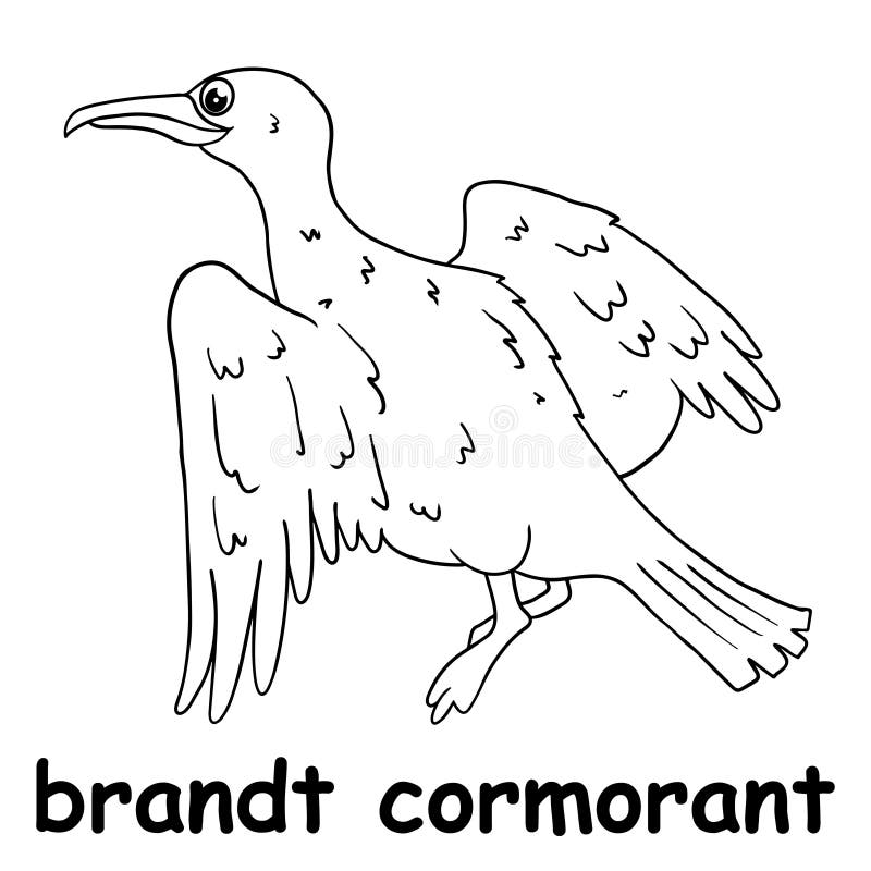 Cormorant Coloring Stock Illustrations – 20 Cormorant Coloring Stock ...