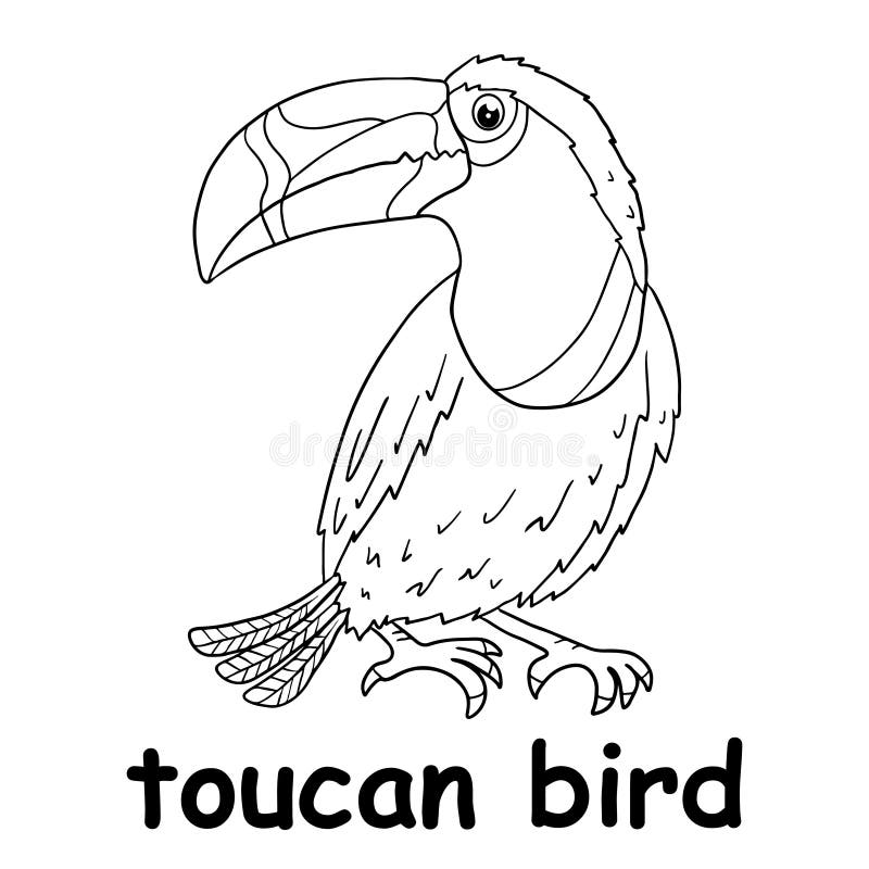 Kids Line Illustration Coloring Toucan Bird. Animal Outline Stock ...