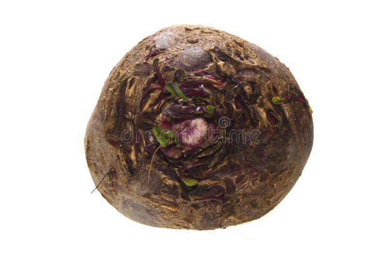 Buryak Field Stock Photos - Free & Royalty-Free Stock Photos from ...