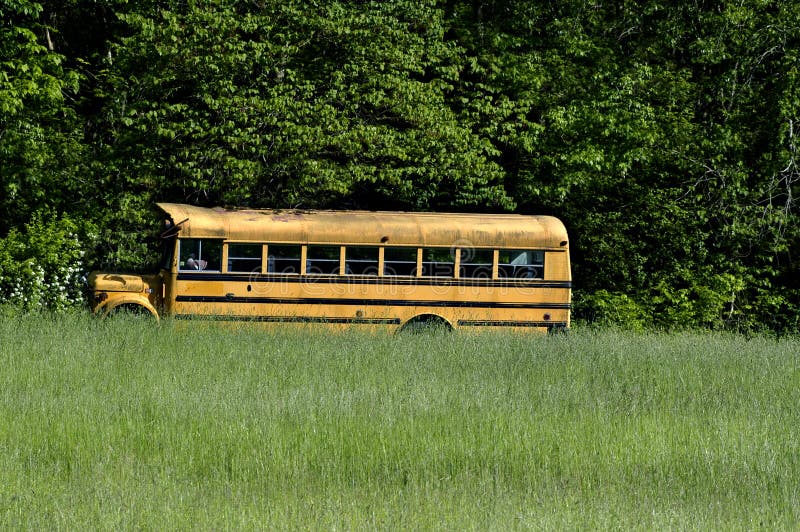 Scrapped School Buses Sit in Auto Junkyard Stock Photo - Image of brush ...