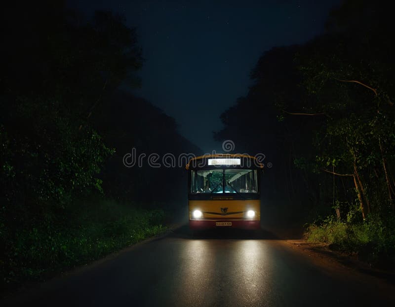 A Bus in Dark Forest Road stock illustration. Illustration of midnight ...