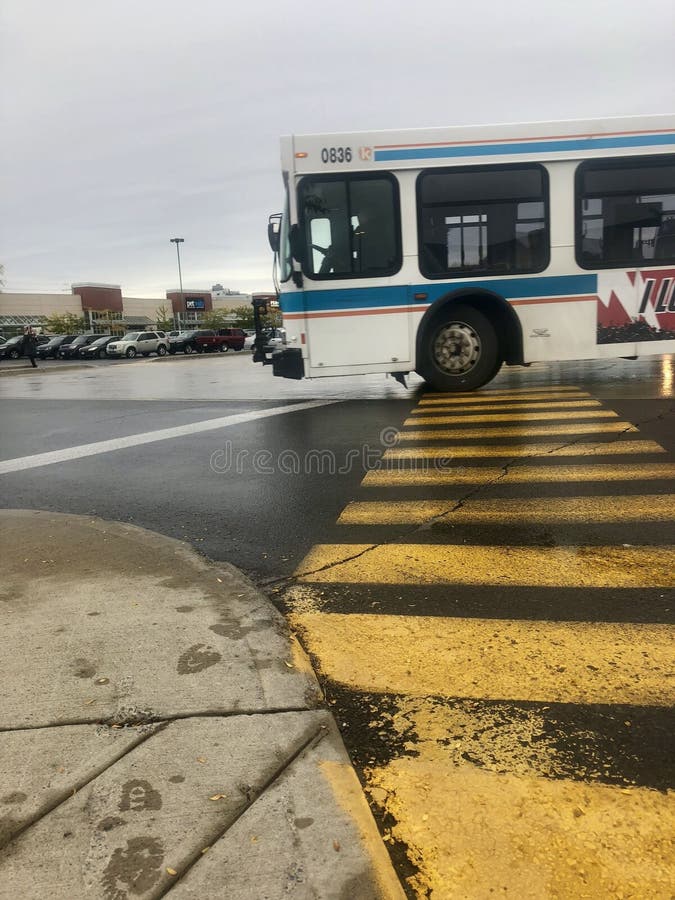 Bus first editorial photography. Image of point, leaving - 231978572