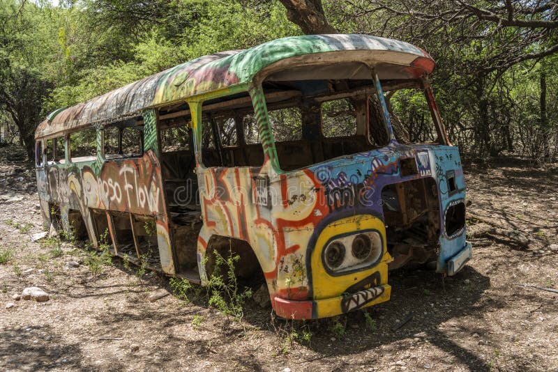 Bus, forest and graffiti stock image. Image of green - 63576325
