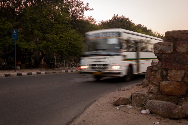 Animal Driving Bus Stock Photos - Free & Royalty-Free Stock Photos from ...