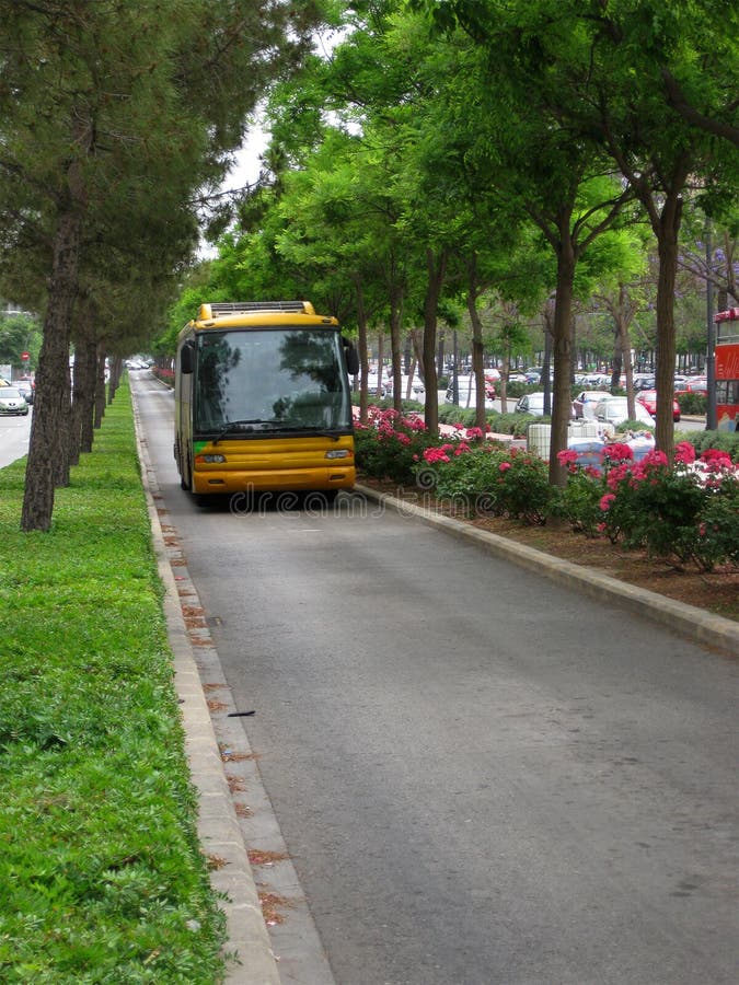 Bus lane stock image. Image of transport, asphalt, road - 9478649