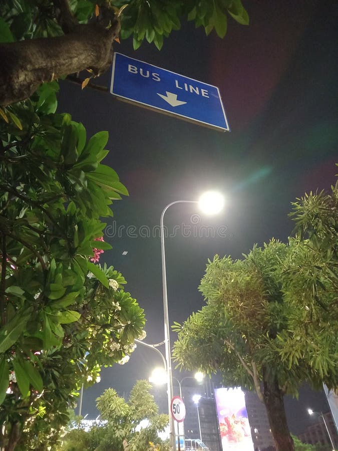 Bus line in midnight stock image. Image of midnight - 261613229