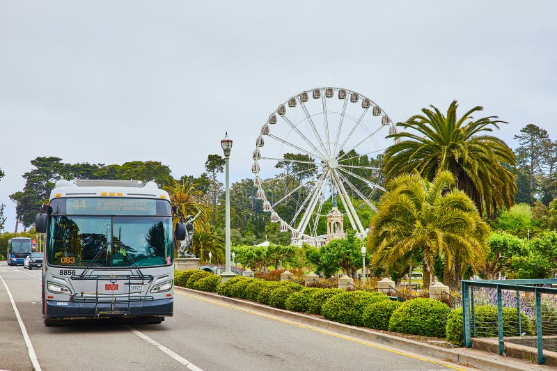 The 44 Bus Pulling Over on Road with SkyStar Wheel and Green Trees in ...