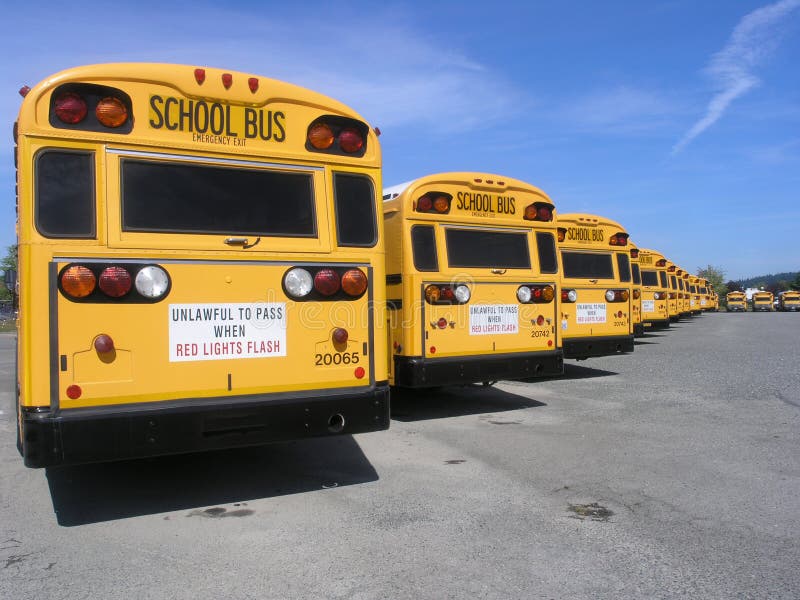 Bus Row stock photo. Image of parking, school, blue, lights - 230518
