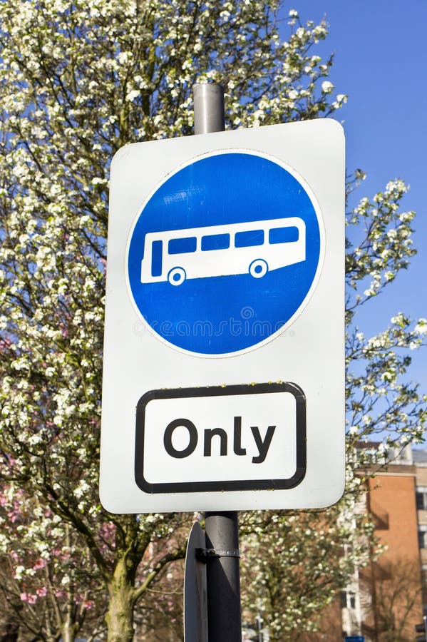 Bus only stock image. Image of roadsign, reserved, tree - 39516743