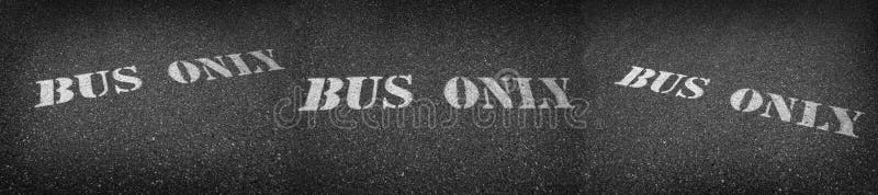 Bus only Sign Painted on Roadway Asphalt for Direction Stock Image ...