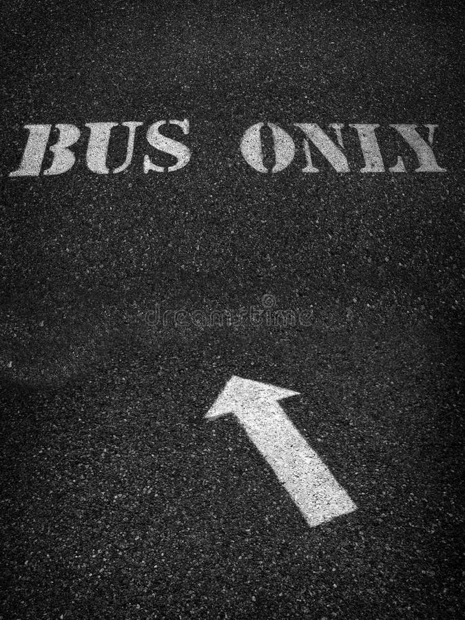 Bus only Sign Painted on Roadway Asphalt for Direction Stock Photo ...