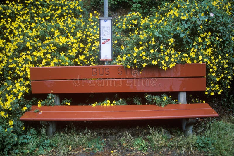 A Bus Stop in Big Sur, California Editorial Photo - Image of ...