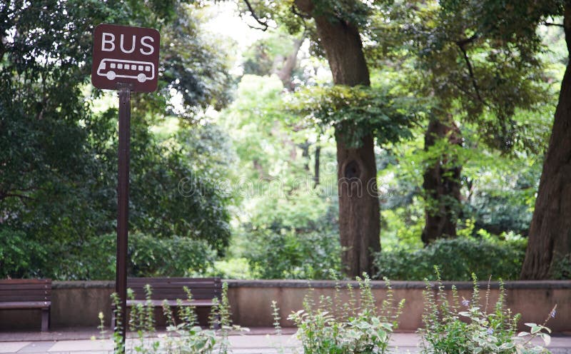 Bus stop in the forest stock photo. Image of leaf, green - 247605252