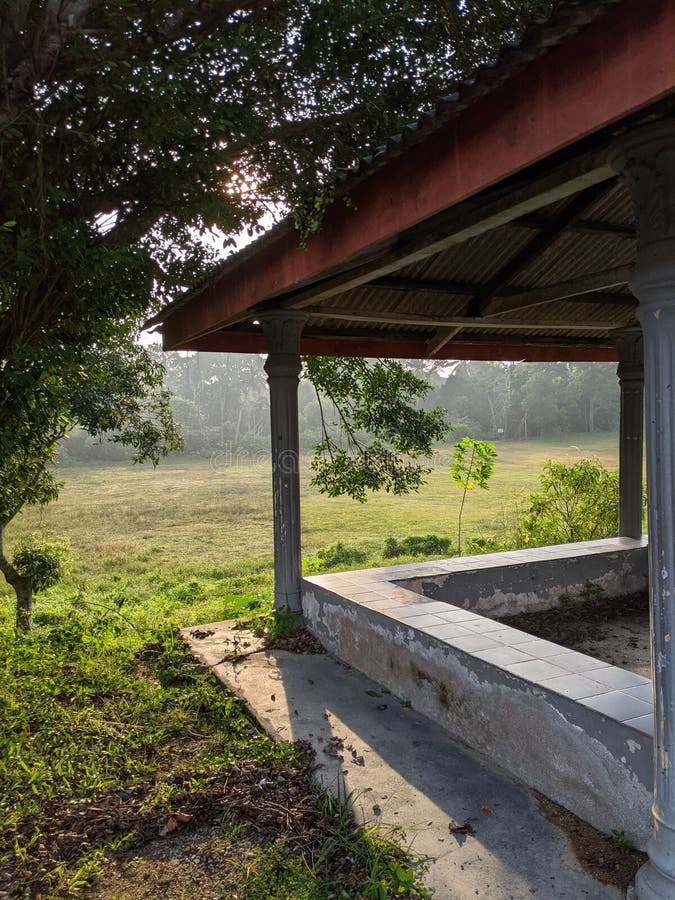 Bus Stop in Front of the Field Stock Photo - Image of property, shack ...