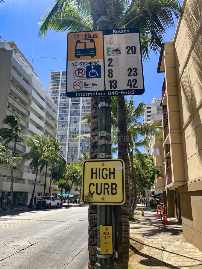 Bus stop in Honolulu. June editorial stock image. Image of beautiful ...
