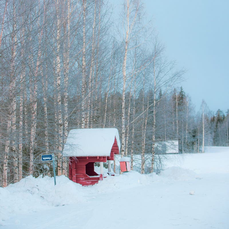 Bus Stop in the Middle of a Forest with Trees Covered in Snow in Winter ...