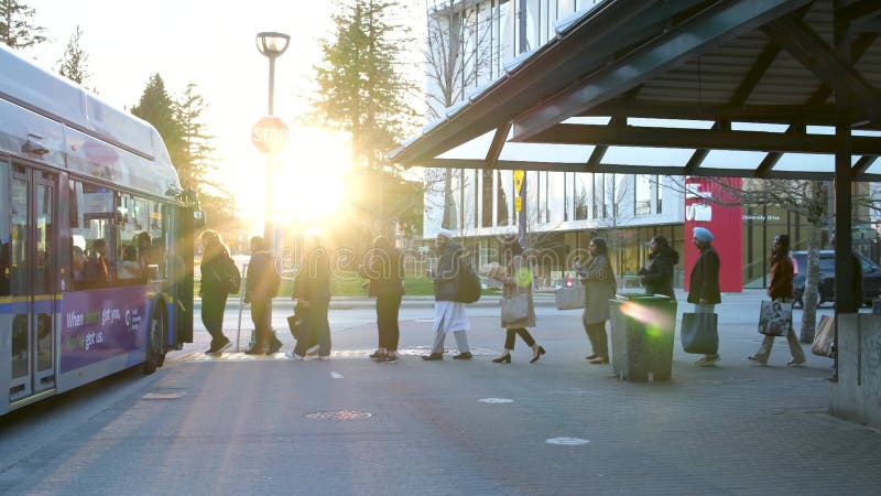 Bus Stop Queue of People Standing on the Bus Public Transport Sunset ...