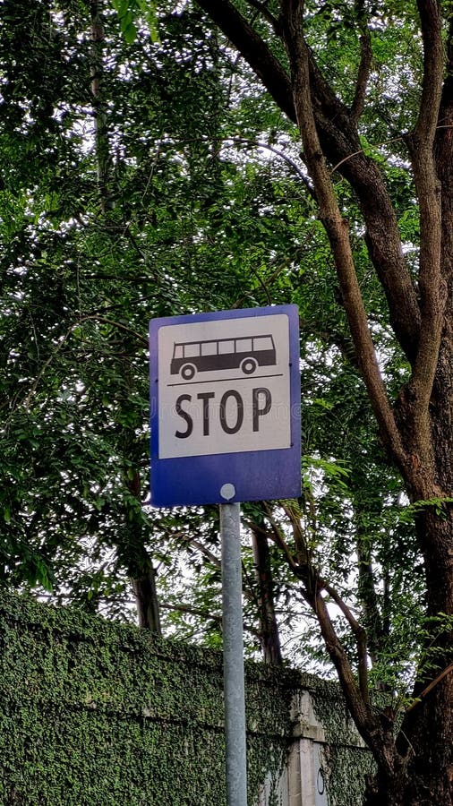 Bus Stop Road Sign Under the Tree Stock Image - Image of sign, road ...