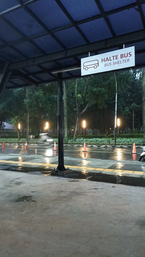 642 Rain Bus Stop Stock Photos - Free & Royalty-Free Stock Photos from ...