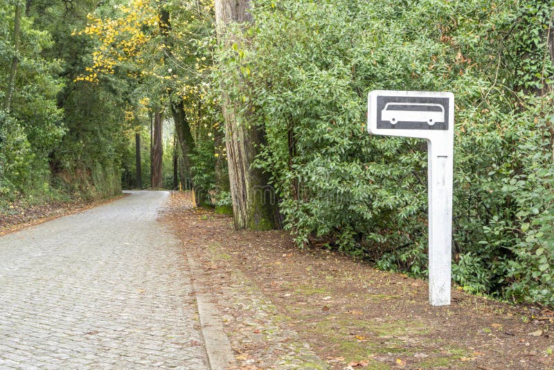 Bus Stop in Th Old Forest by Narrow Road Stock Image - Image of nature ...