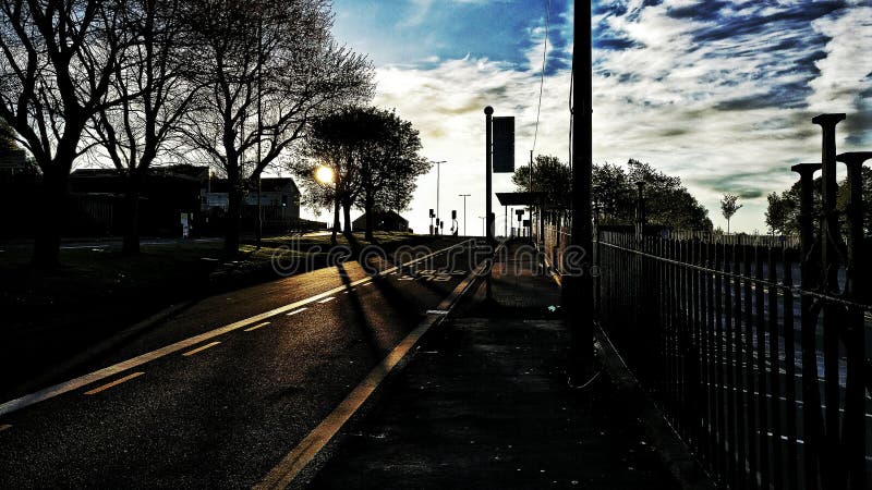 Bus stop with trees stock image. Image of storm, scene - 107724465
