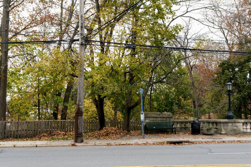 A bus stop stock photo. Image of park, forest, trees - 261477426
