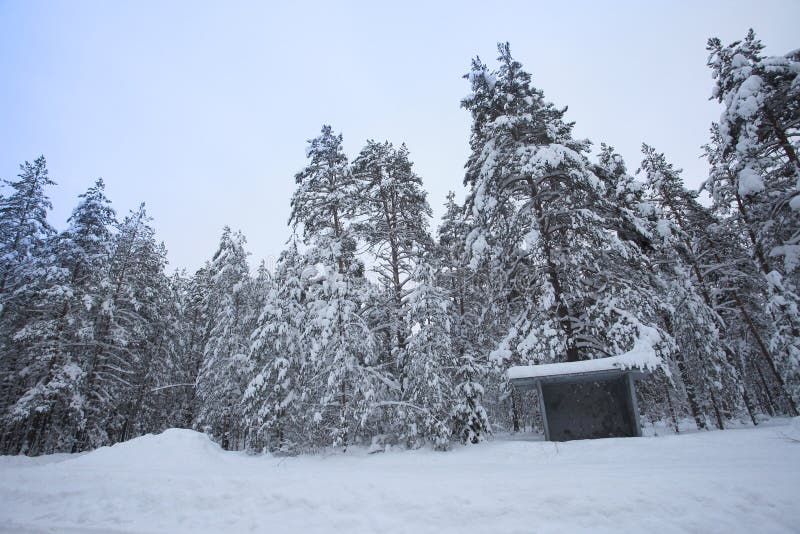 Bus Stop in Winter Snowy Forest Stock Photo - Image of lapland, bare ...