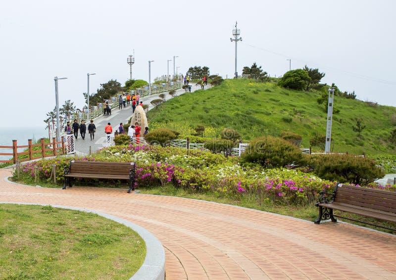 Busan, Corea Del Sud, Oryukdo Skywalk 2017 Fotografia Editoriale ...