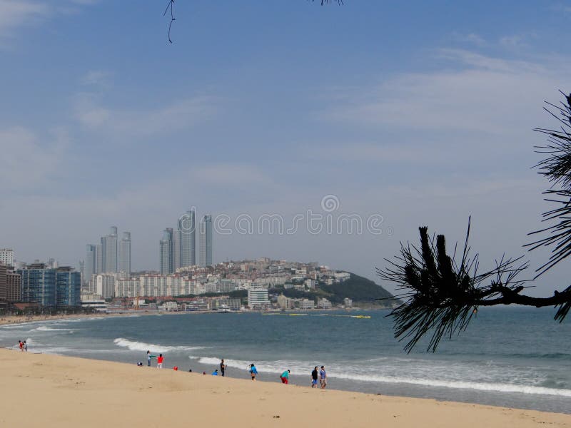 Busan, sea coast stock photo. Image of travelling, korea - 48004092